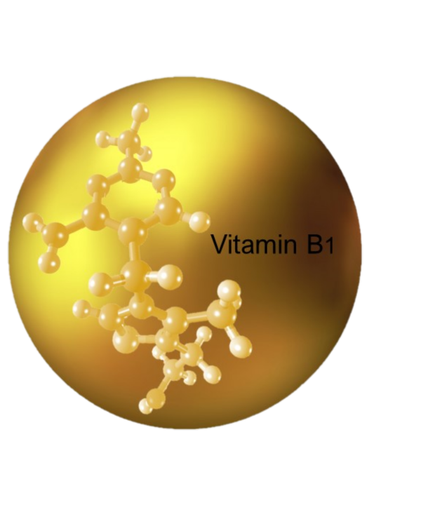 CYNERGY MED MARINE COLLAGEN - PHARMACROS